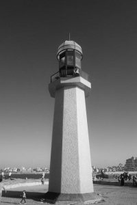 Ultimate Guide to Ball Python Morphs | Colors, Patterns, and Care Tips